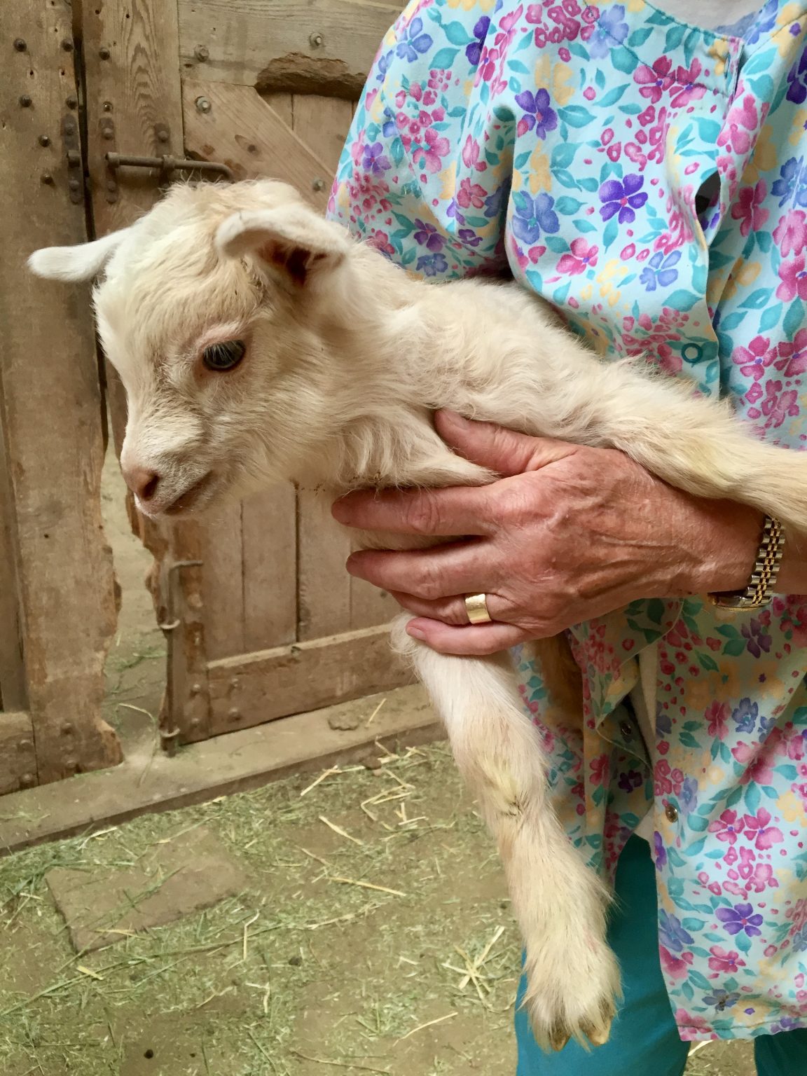 Rio Fernando Farms – Taos Canyon Neighborhood Association